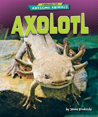 Axolotl - Non-Fiction Reading for Grade 3, Developmental Learning for ...