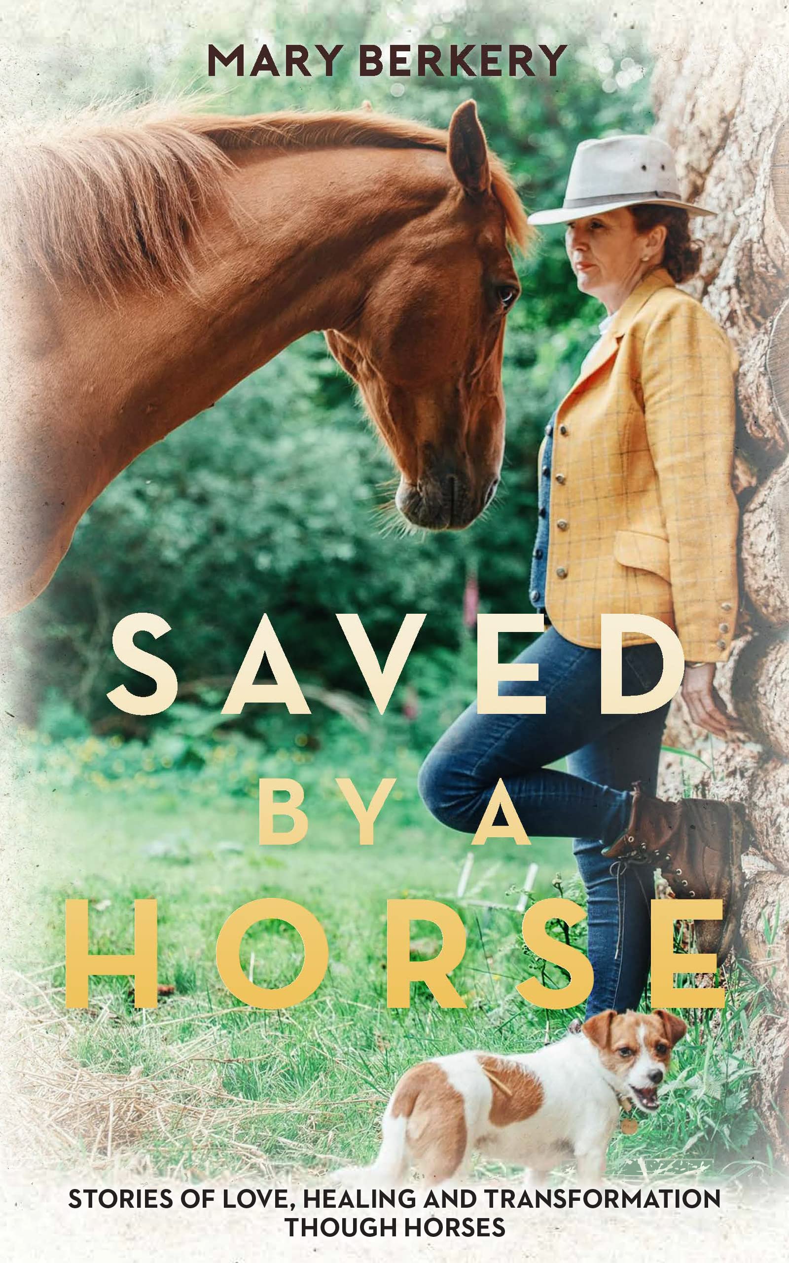 Saved by a Horse: Stories of love, healing and transformation through ...