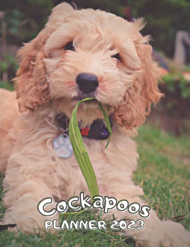 Cockapoos Planner 2023 by Plnrvipyehyeh Publishing 2023 | Goodreads