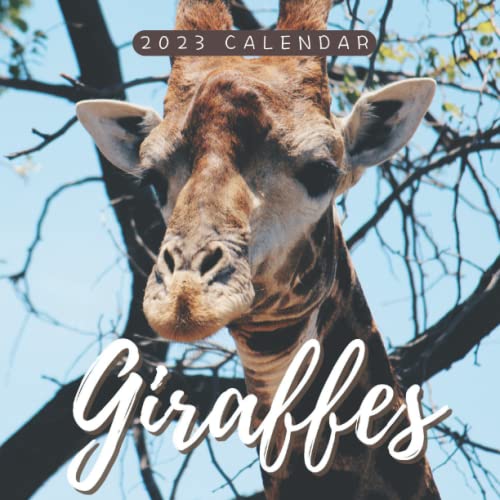 Giraffes Calendar: Beautiful 2023 Calendar Gift for Family, Friends and ...