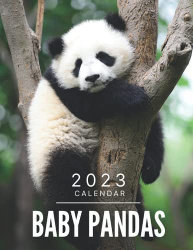 Baby Pandas Calendar 2023: Beautiful 18-month 2023 Calendar - Gift for ...