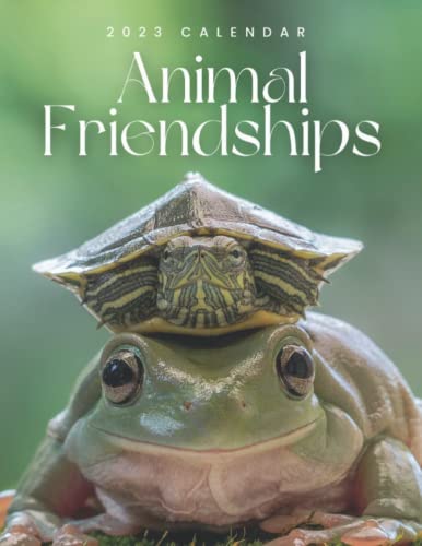 Animal Friendships Calendar 2023: Beautiful 18-month 2023 Calendar ...