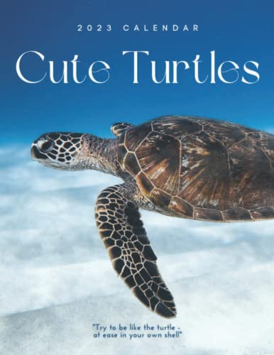 Cute Turtles Calendar 2023: Beautiful 18-month 2023 Calendar - Gift for ...