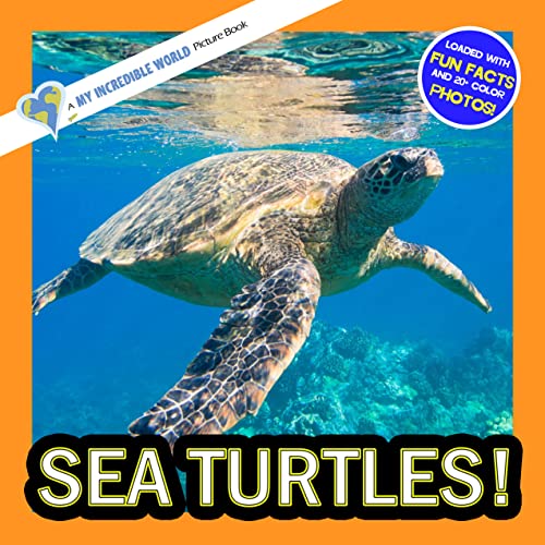 Sea Turtles!: A My Incredible World Picture Book for Children by Hope ...