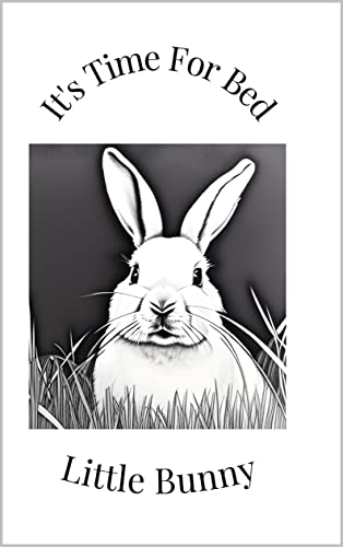 It's Time For Bed Little Bunny by Carly Glass | Goodreads