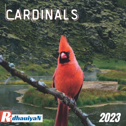 Cardinals Calendar 2023: 12 Month Calendar, Cute Gift Idea For Bird ...
