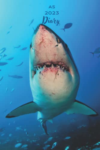 Shark Diary 2023: Goal Setting Planner Checklist-2023/2024 Calendars ...