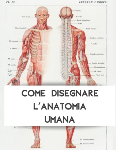 Come Disegnare L Anatomia Umana Tutorial E Libro Da Colorare In Uno
