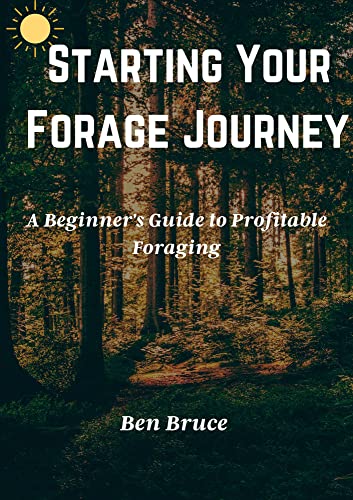 Starting Your Forage Journey: A Beginner's Guide to Profitable Foraging ...