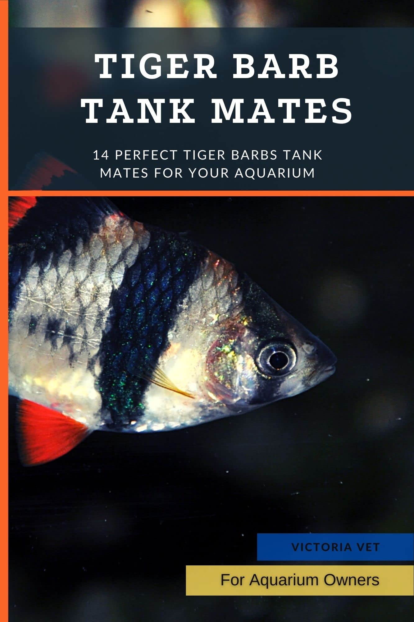 Tiger Barb Tank Mates: 14 Perfect Tiger Barbs Tank Mates For Your ...
