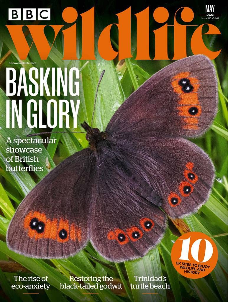 BBC Wildlife Magazine - May 2023 by Immediate Media Company London Ltd ...