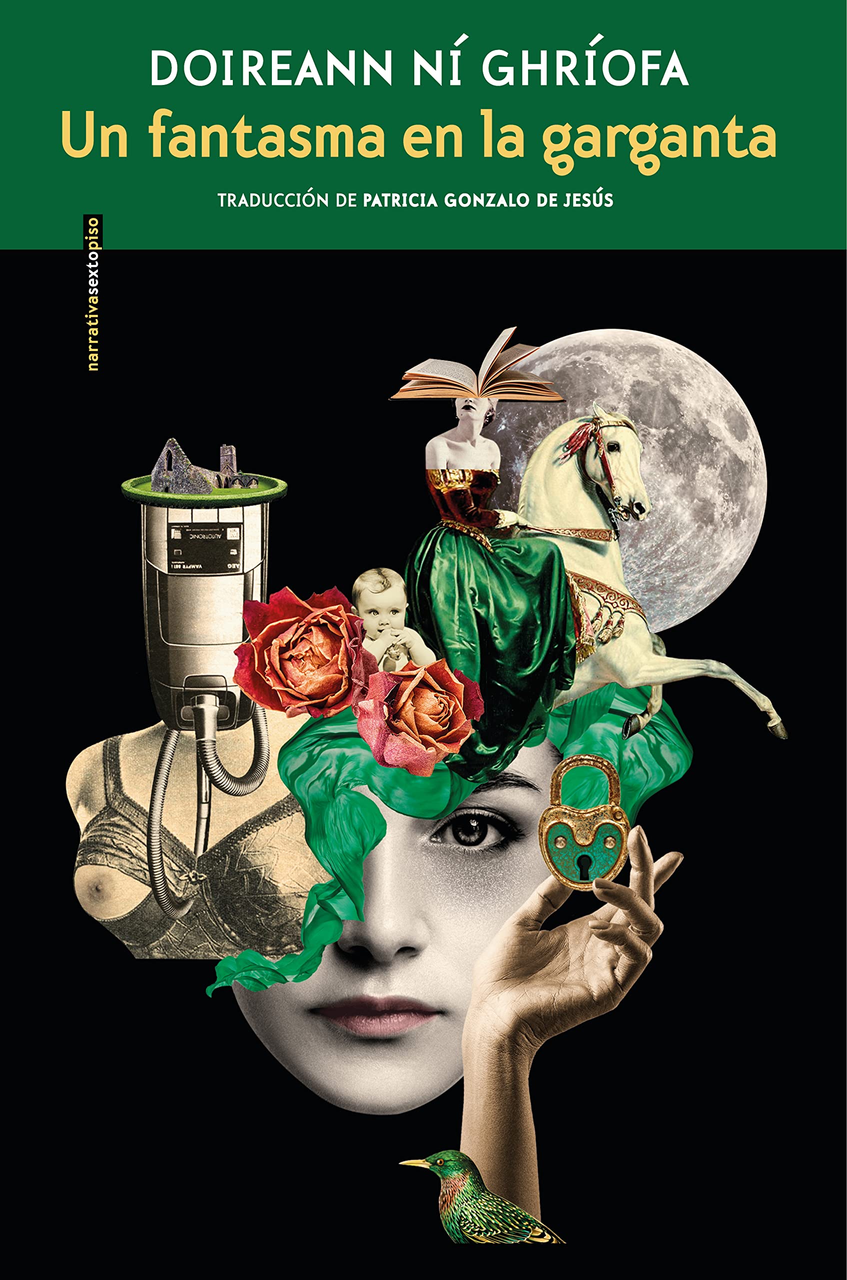 Un fantasma en la garganta (Spanish Edition) by Doireann Ní Ghríofa | Goodreads