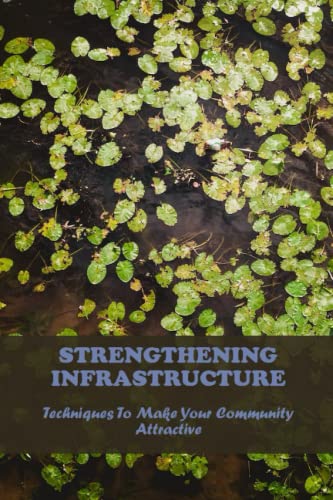 Strengthening Infrastructure: Techniques To Make Your Community ...