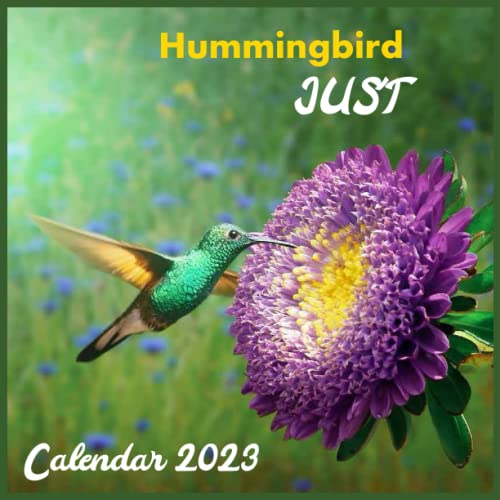 Just Hummingbird 2023 Calendar: 12 Months Calendar 2023 For Women, Men ...