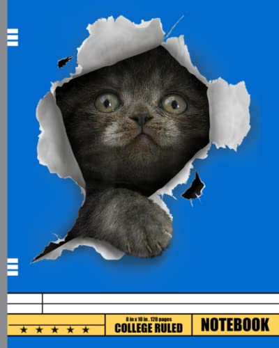 Gray Cat Notebook: Cute Cats Wide Ruled Paper Notebook Journal | Wide ...