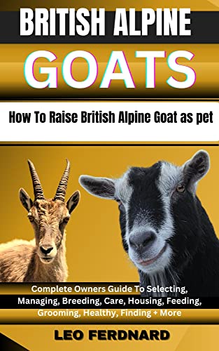 BRITISH ALPINE GOATS, How To Raise British Alpine Goat as pet ...