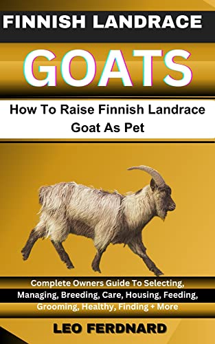 FINNISH LANDRACE GOAT How To Raise Finnish Landrace Goat As Pet ...
