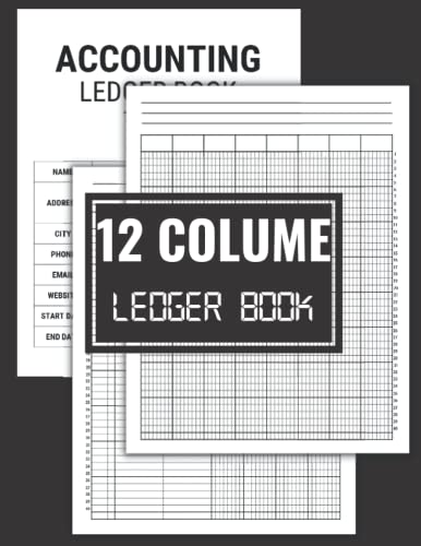 12 Column Ledger Book: Accounting Ledger Notebook 120 Pages (8.5 x 11 ...