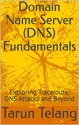 Domain Name Server (DNS) Fundamentals | Exploring Traceroute, DNS Attacks and Beyond ...