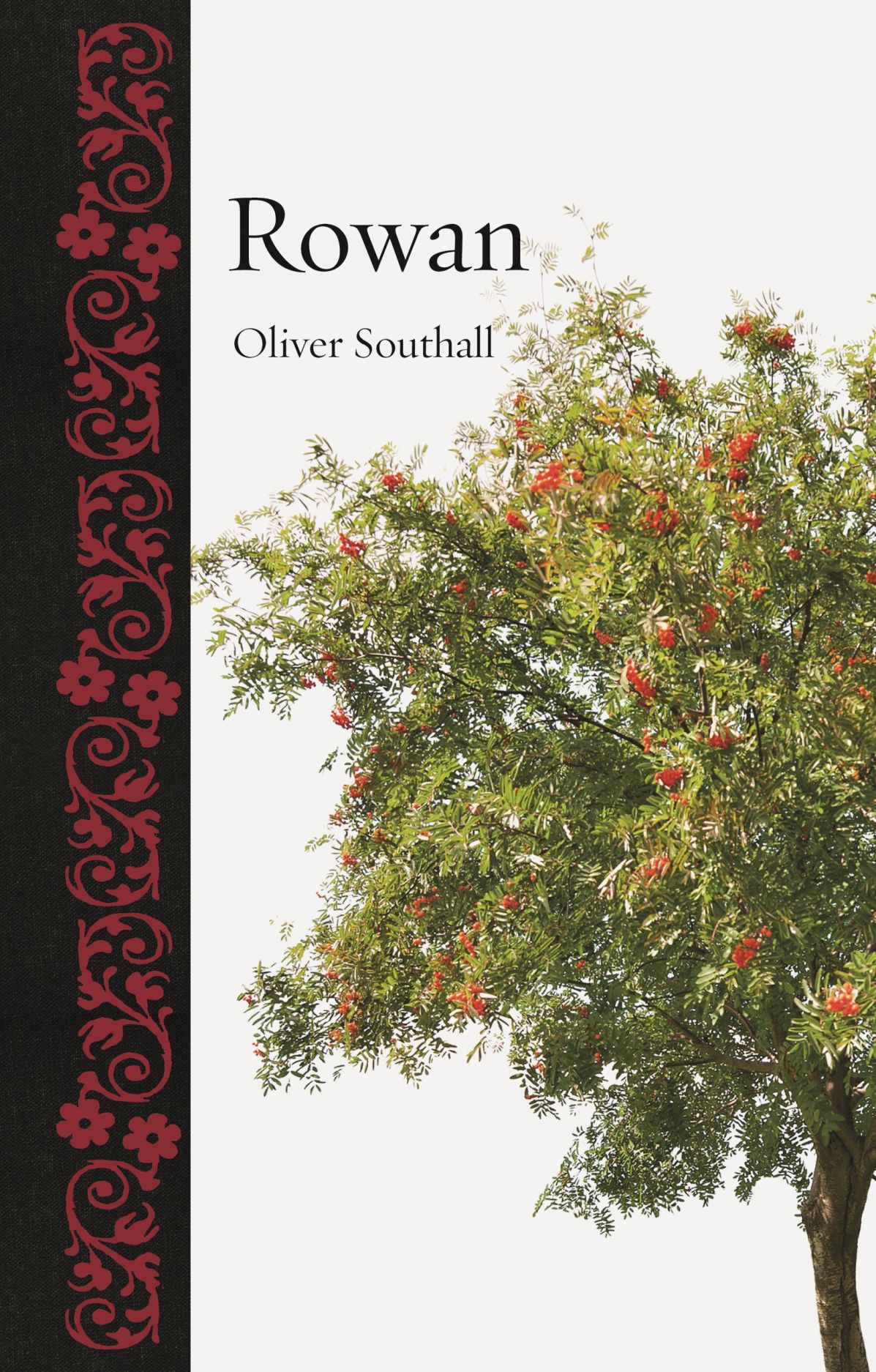 Rowan (Botanical) by Oliver Southall | Goodreads