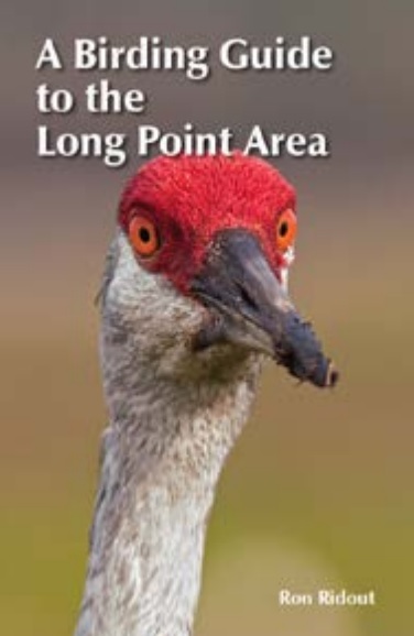A Birding Guide to the Long Point Area [Southern Ontario] by Ron Ridout ...