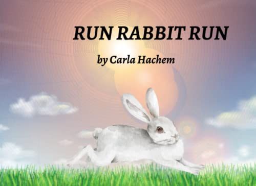 RUN RABBIT RUN by Carla Hachem | Goodreads