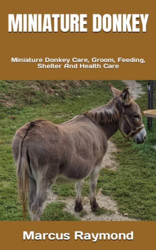 MINIATURE DONKEY: Miniature Donkey Care, Groom, Feeding, Shelter And ...