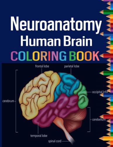 Neuroanatomy Human Brain Coloring Book: A colorful introduction to the ...