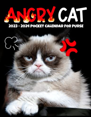 Angry Cat Pocket Calendar: Angry Cat | 2 Years Pocket Calendar January ...