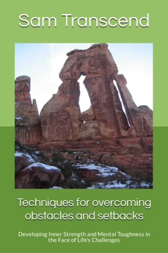 Techniques for overcoming obstacles and setbacks: Developing Inner ...