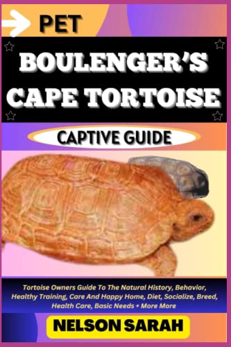 PET BOULENGER’S CAPE TORTOISE CAPTIVE GUIDE: Tortoise Owners Guide To ...
