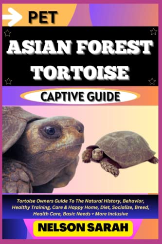 PET ASIAN FOREST TORTOISE CAPTIVE GUIDE: Tortoise Owners Guide To The ...