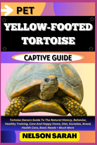 PET YELLOW-FOOTED TORTOISE CAPTIVE GUIDE: Tortoise Owners Guide To The ...