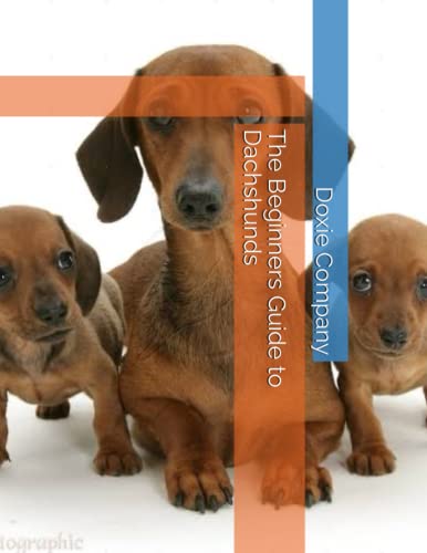 The Beginners Guide to Dachshunds by Doxie Design Company | Goodreads