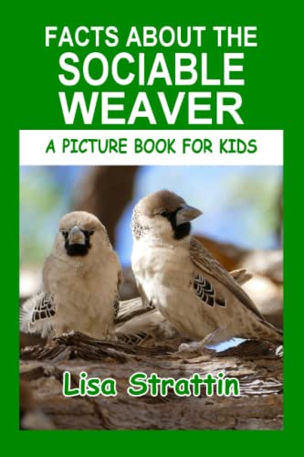 Facts About the Sociable Weaver by Lisa Strattin | Goodreads