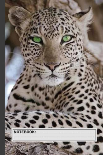 Veryglorious Jaguar Notebook: Notebook with animals on cover ,120 Pages, Lined, 6" x 9" (15.24 x ...