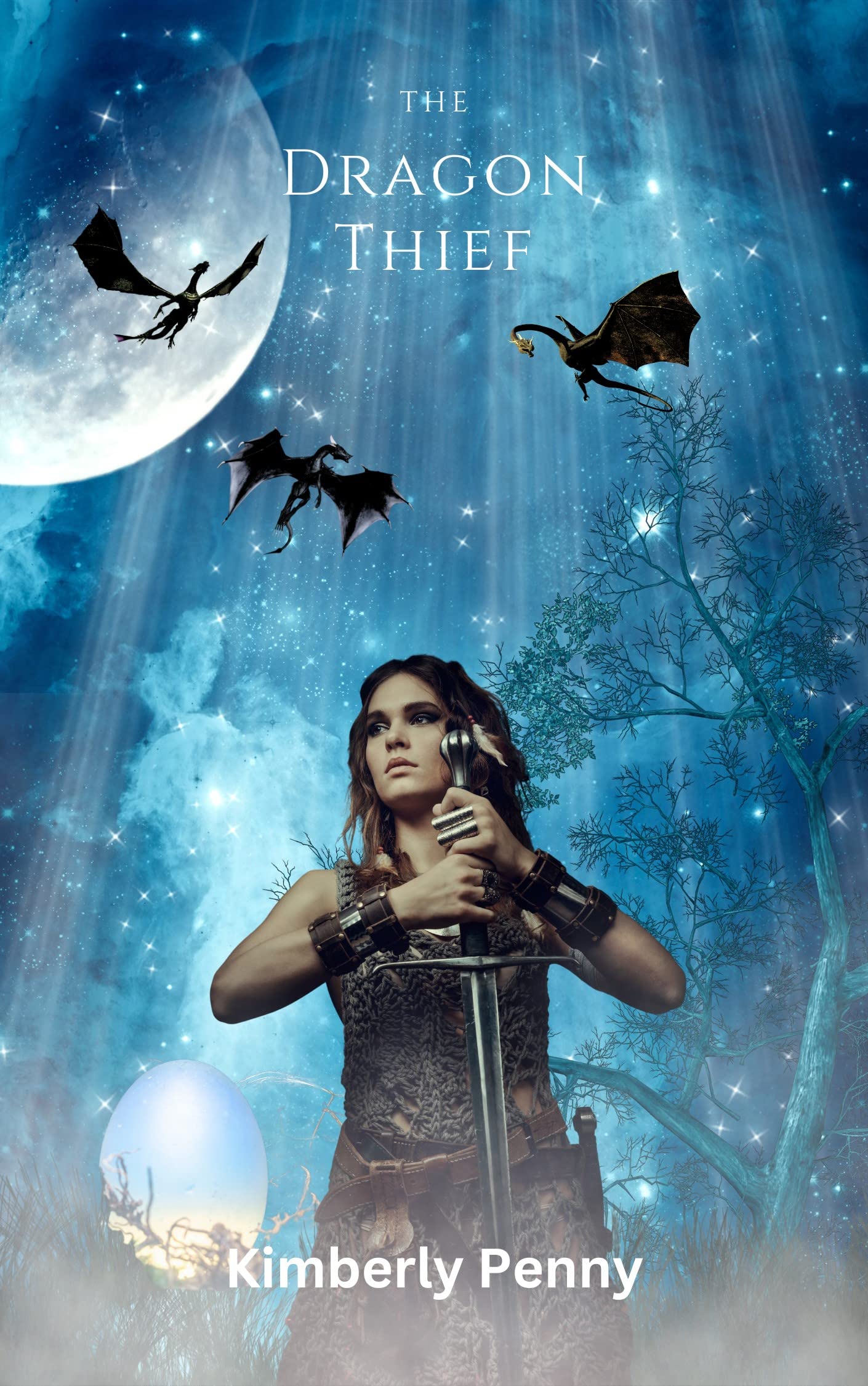 The Dragon Thief: Book 1 (Diamond and Dragons) by Kimberly A. Penny ...