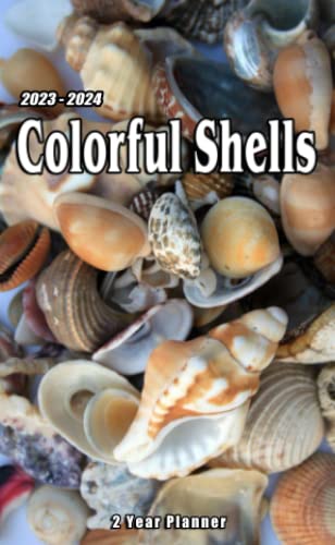 2023-2024 Colorful Shells Pocket Planner: 2023 Monthly Planner With 2 ...
