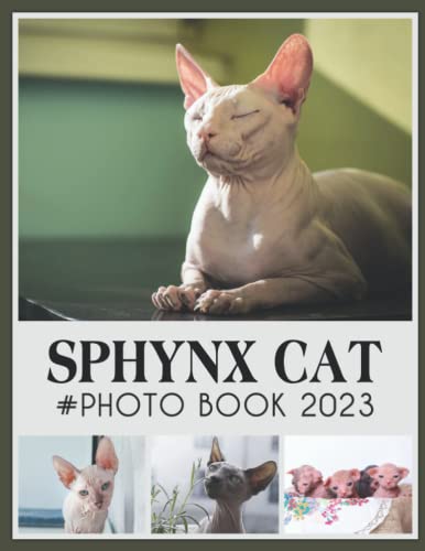 Sphynx Cat Photo Book: Picture Book Of Sphynx Cat With 30+ Photos ...