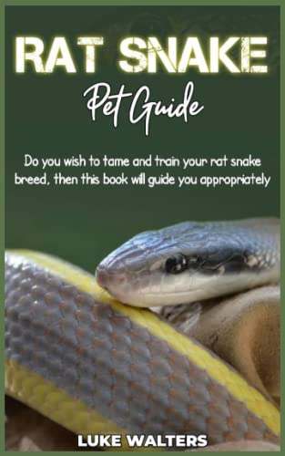 RAT SNAKE PET GUIDE: Do you wish to tame and train your rat snake breed ...