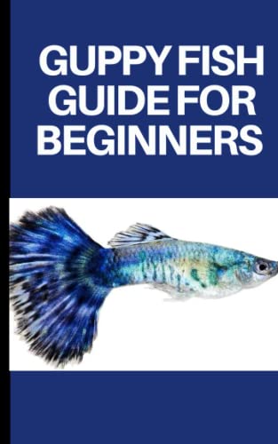 GUPPY CARE GUIDE FOR BEGINNERS: Simple, effective and complete care ...