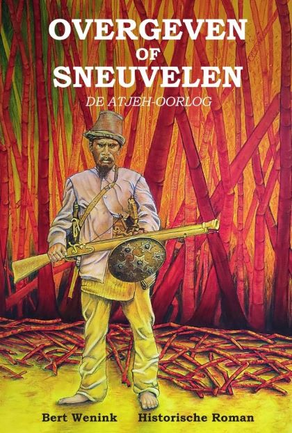 Overgeven of sneuvelen: de Atjeh-oorlog by Bert Wenink | Goodreads