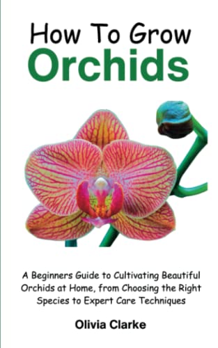 How To Grow Orchids: A Beginners Guide to Cultivating Beautiful Orchids ...