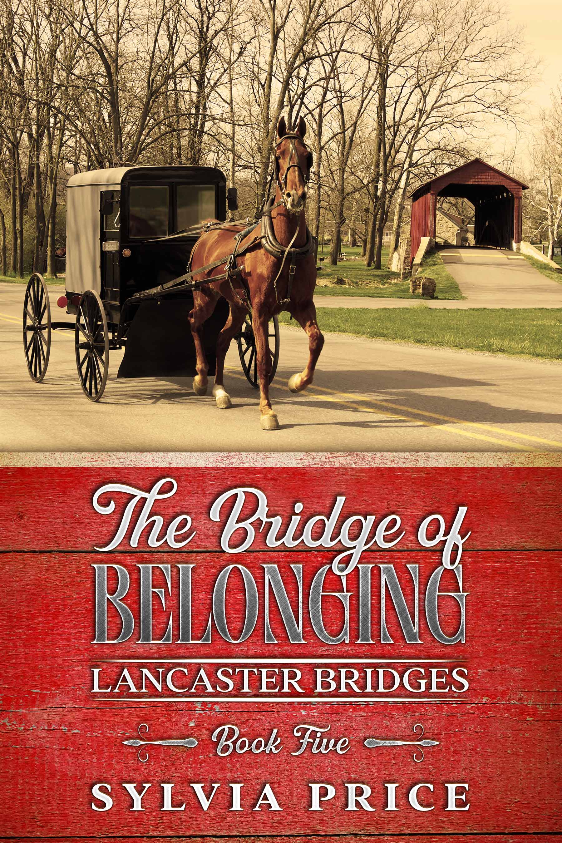 The Bridge of Belonging (Lancaster Bridges Book Five): An Amish Romance Series by Sylvia Price ...