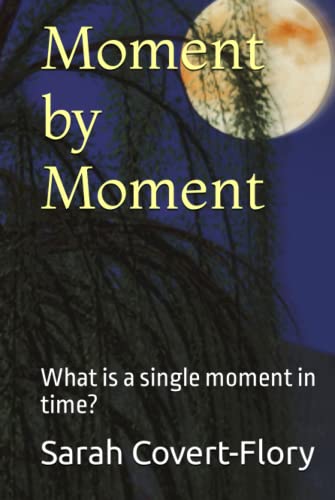 Moment by Moment: What is a single moment in time? by Sarah Covert ...