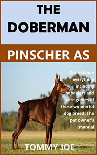 THE DOBERMAN PINSCHER AS PET: Get to know everything including ...
