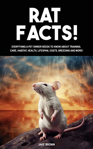 Rat Facts! Everything a pet owner needs to know about training, care ...