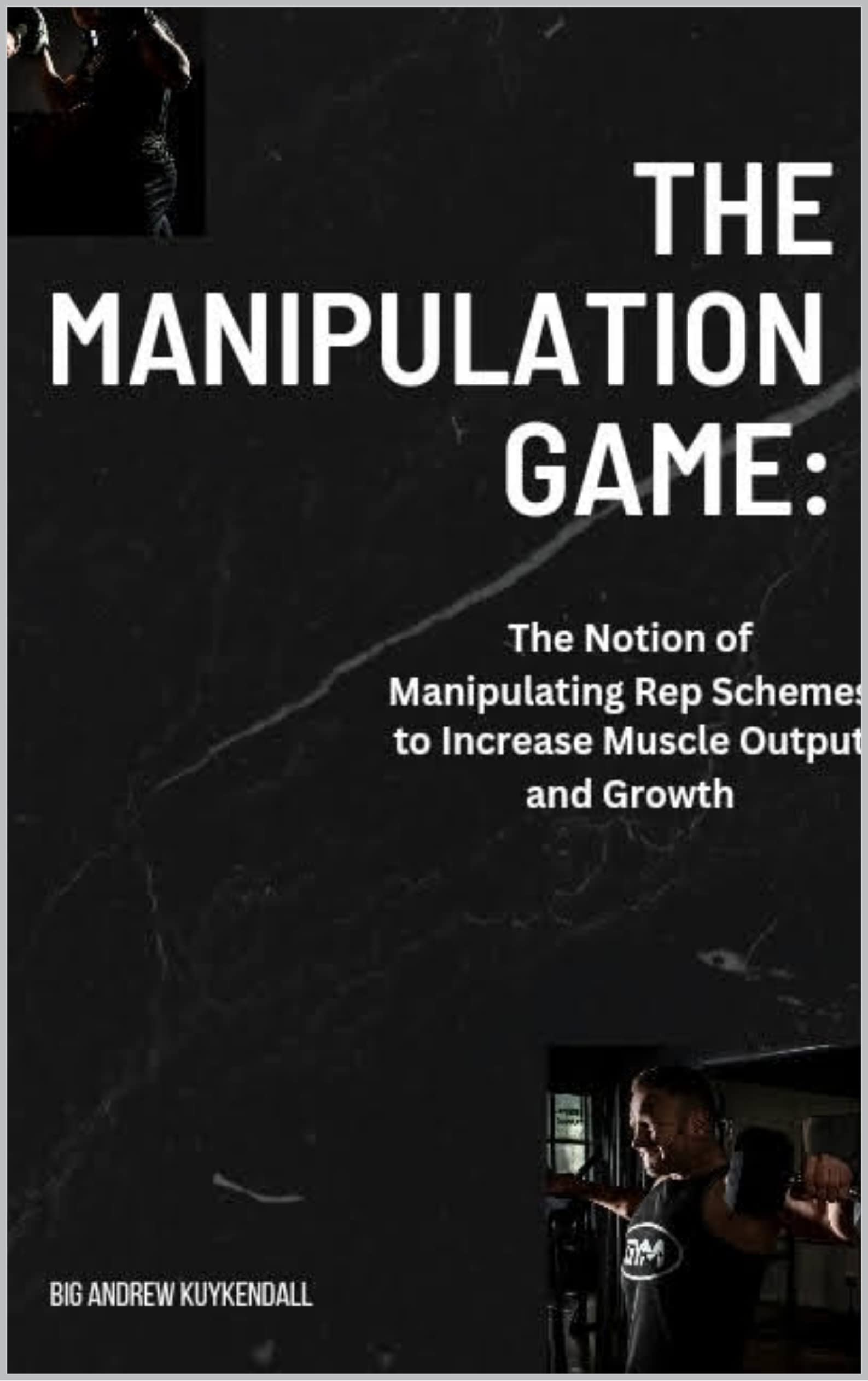 The Manipulation Game: The Notion of Manipulating Rep Schemes to ...
