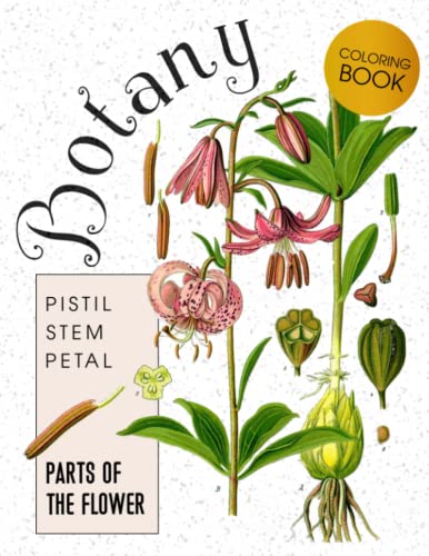 Botany Coloring Book: Adult Floral Coloring Books For Teens & Women ...