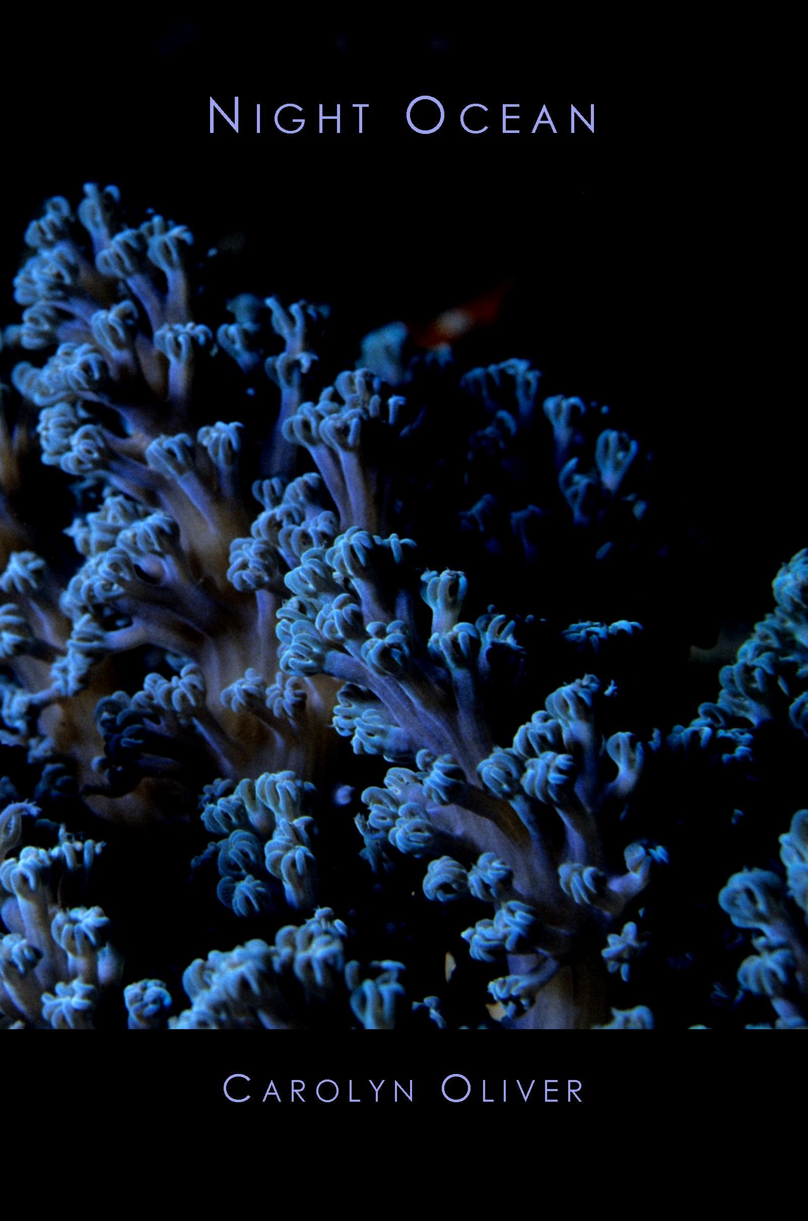 Night Ocean [Rane Arroyo Series, #17] by Carolyn Oliver | Goodreads